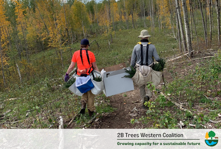 Western Coalition Project